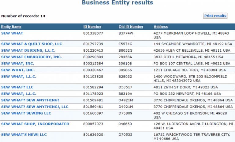 How To Do A Michigan Business Name Search - StartUp 101